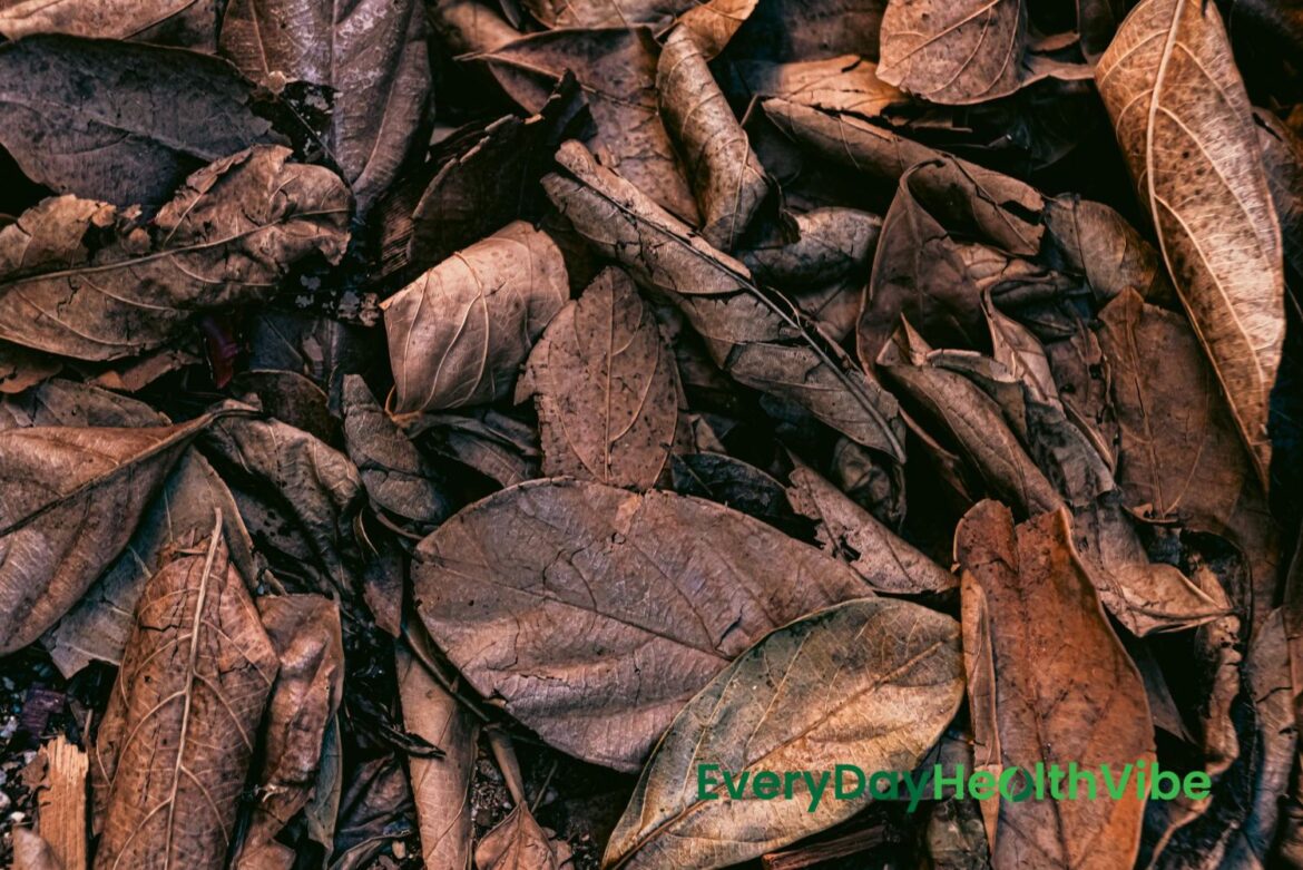 What Is Grabba? A Clear Look at Its Use and Impact on Health - Everyday ...